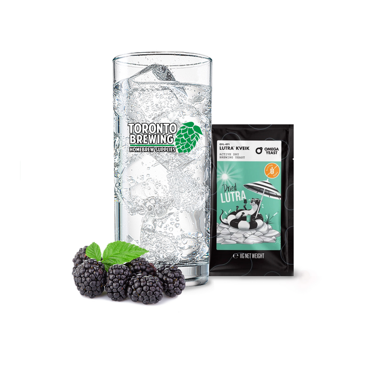 Hard Seltzer Recipe Kit - Blackberry (5 Gallon/19 Litre) — Toronto Brewing