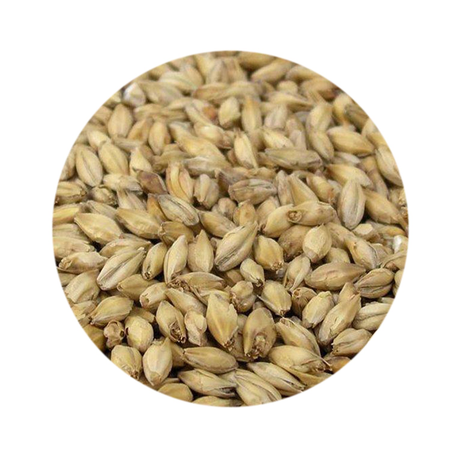 Grains & Malts — Toronto Brewing
