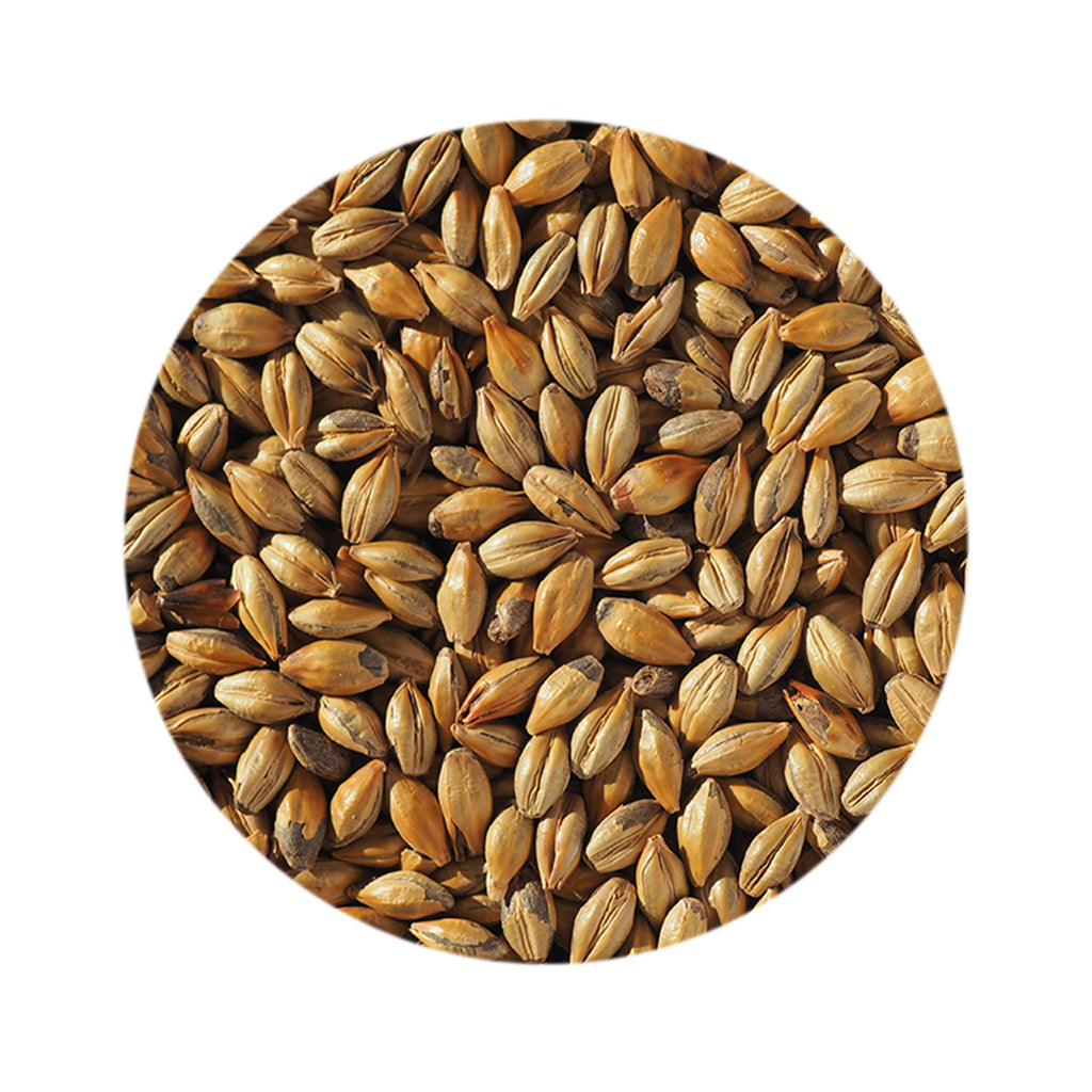 Brewing Ingredients - Toronto Brewing