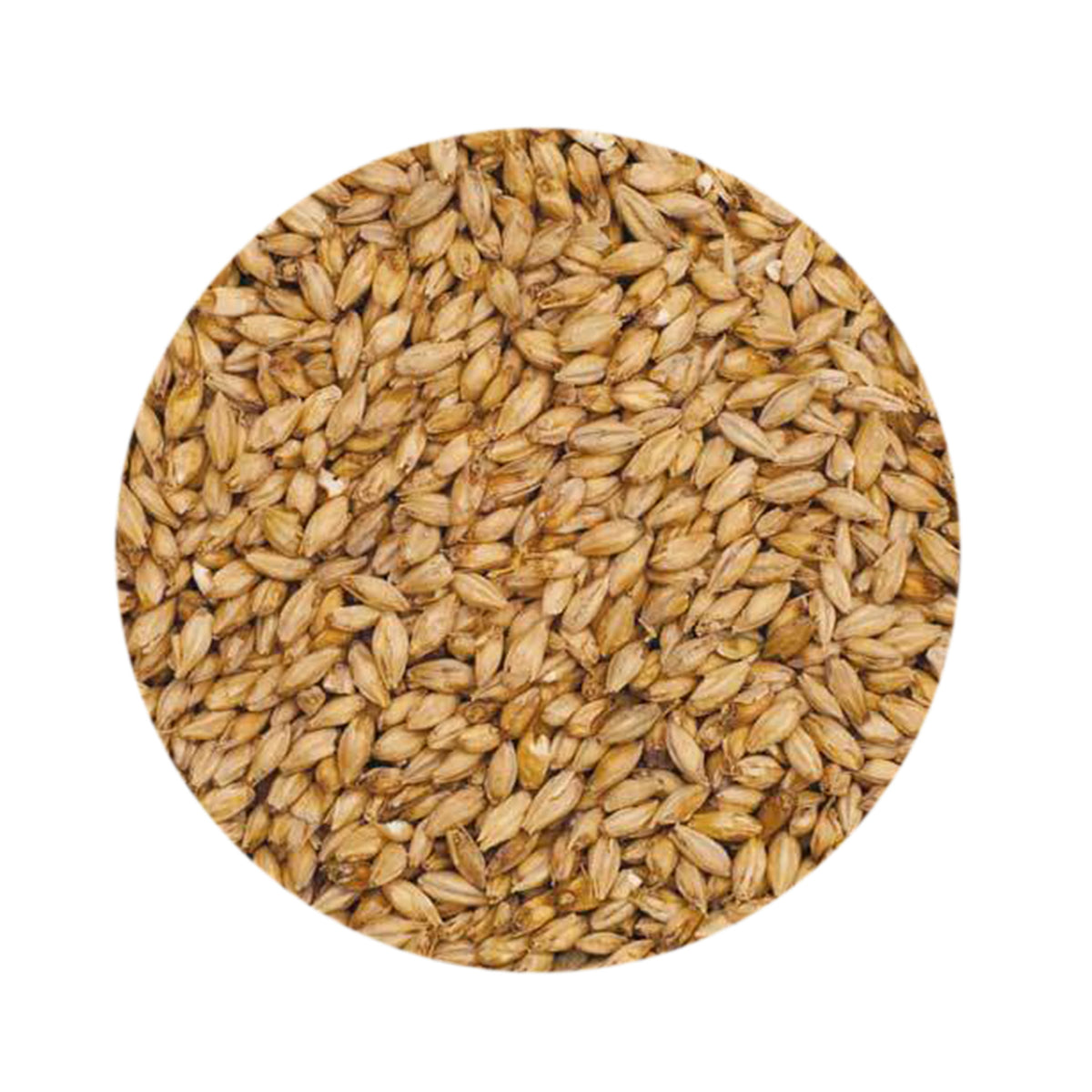 Heavy Peated Malt — Toronto Brewing