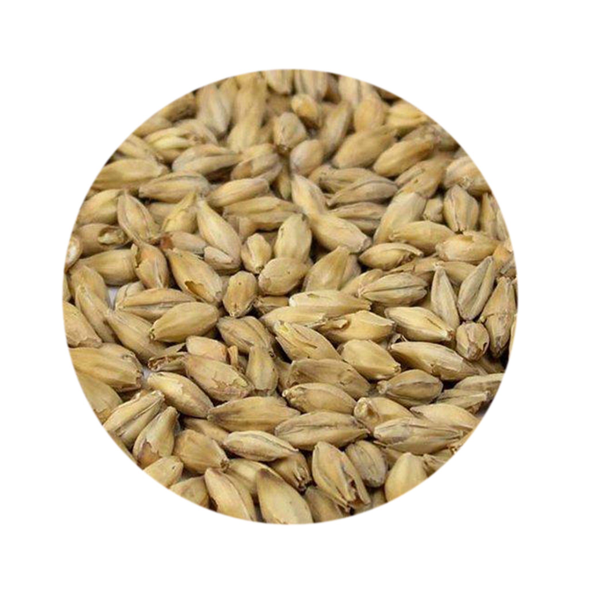 Grains & Malts — Toronto Brewing