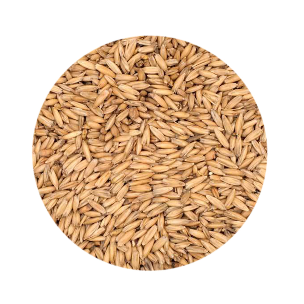Oat Malt — Toronto Brewing